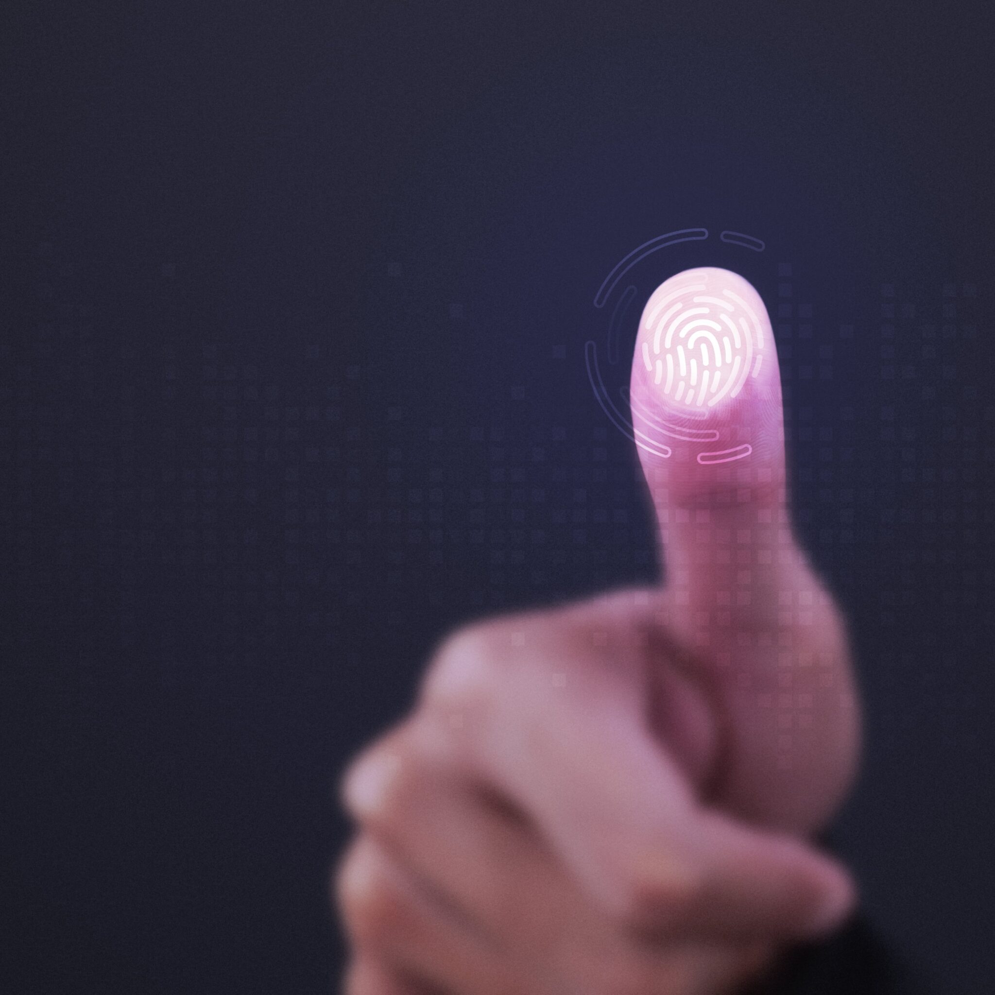 Home - MIQY DMV & Live Scan Services